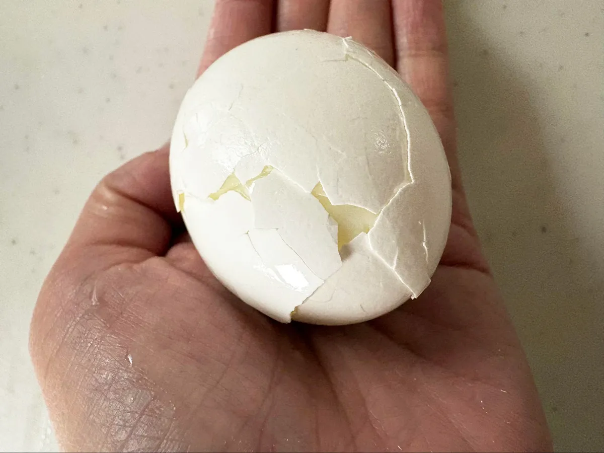 ゆで卵の殻がツルッと剥ける！ コップを使った裏技に「今までの苦労は一体…」 – トレンド＆ライフスタイルメディア『grape』